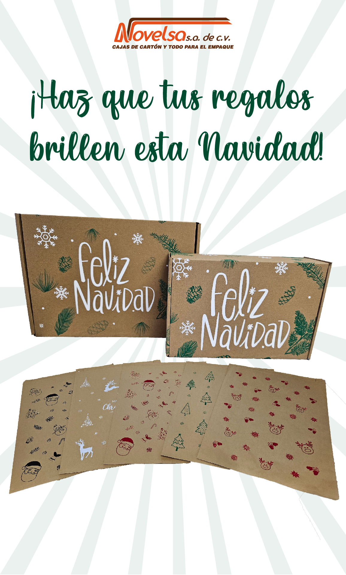 Novelsa – Cajas de Cartón y Todo Para el Empaque